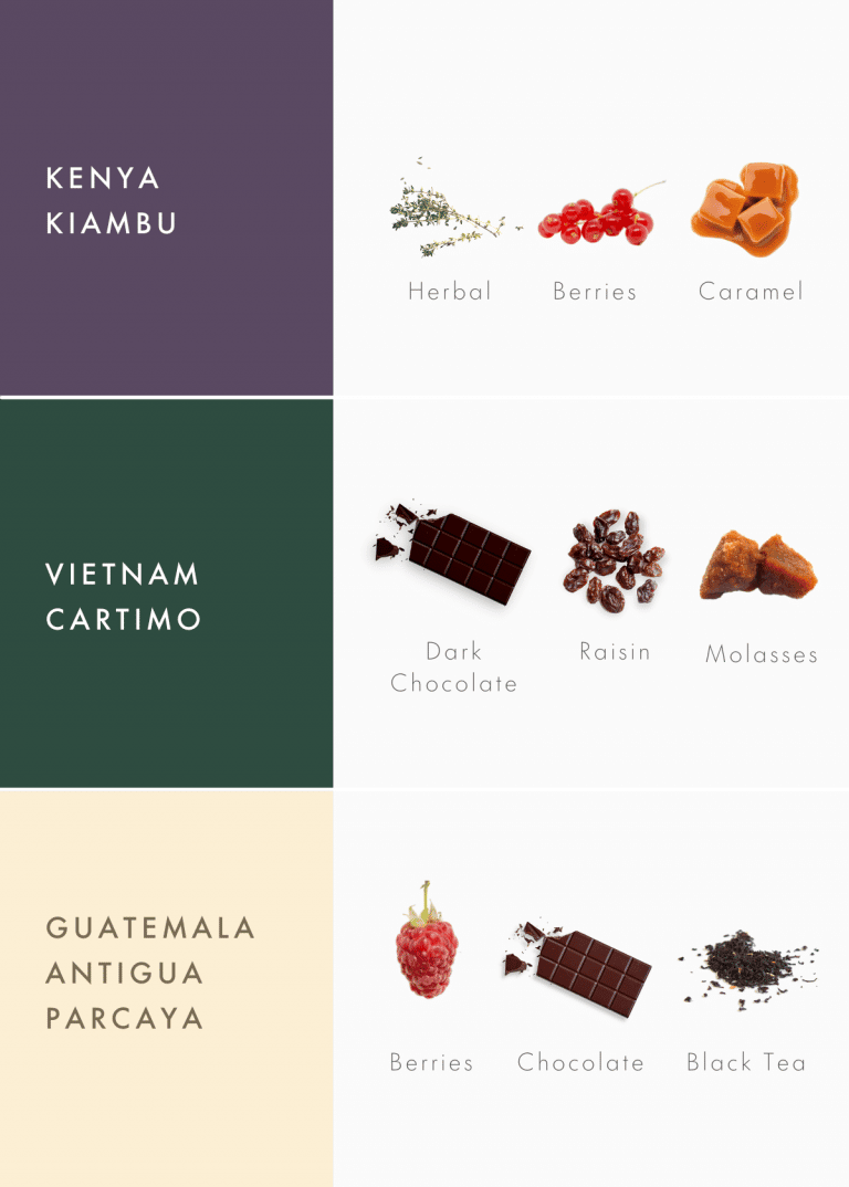 Buy Single Origin Coffee Roasted Coffee Bean Online Malaysia - COFA Store