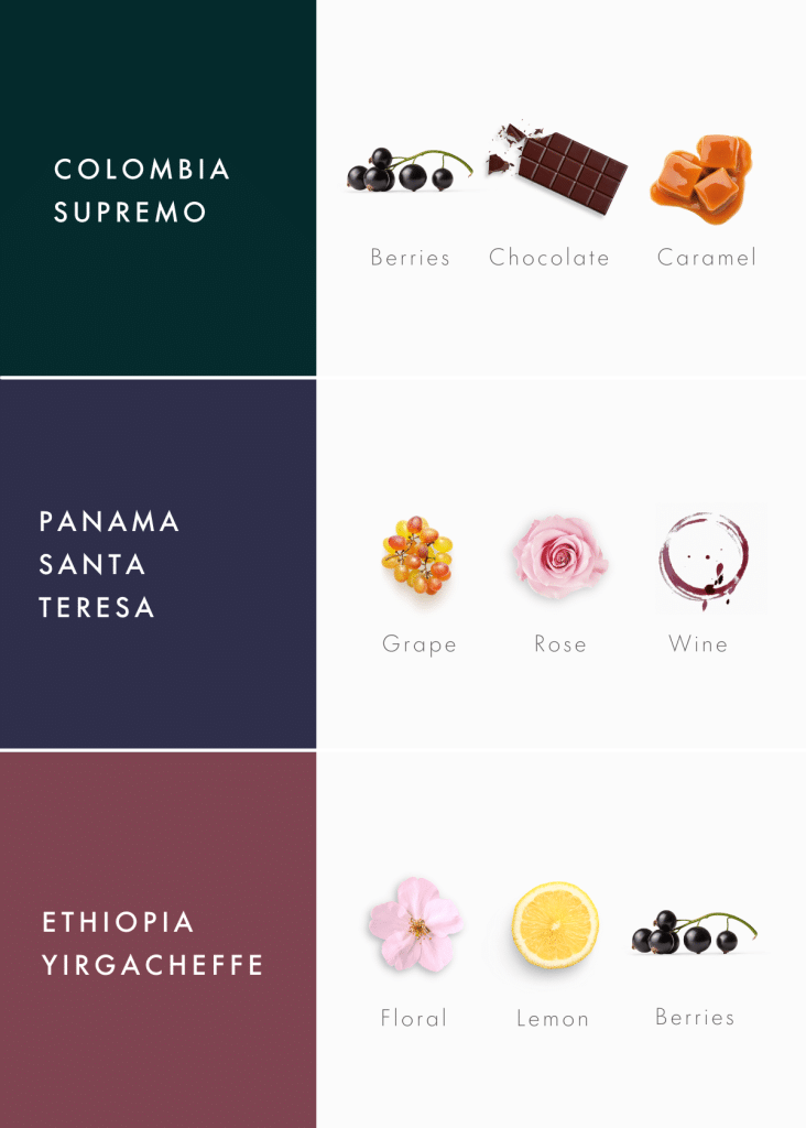 Buy Single Origin Coffee Roasted Coffee Bean Online Malaysia - COFA Store