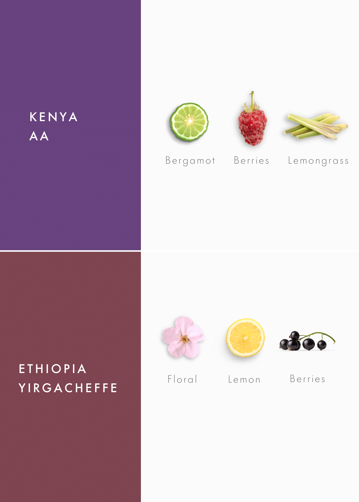 Buy By Region Roasted Coffee Bean Online Malaysia - COFA Store