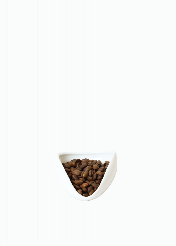 Buy Special: Twin Bundle Roasted Coffee Bean Online Malaysia - COFA Store