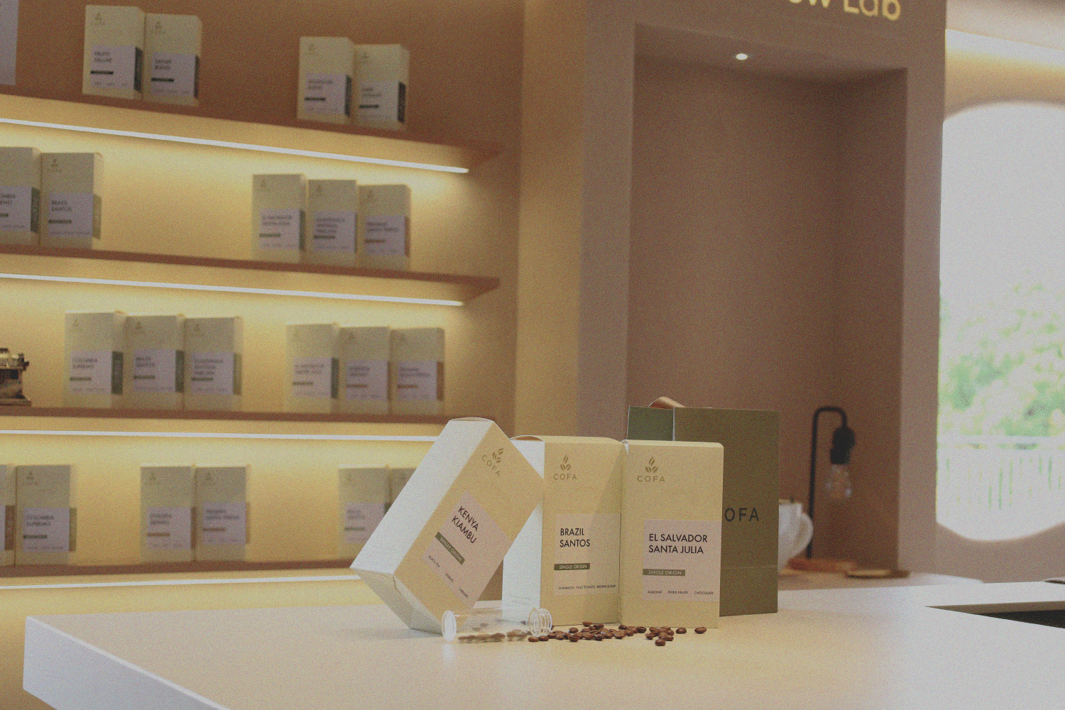 Buy Single Origin Coffee Roasted Coffee Bean Online Malaysia - COFA Store